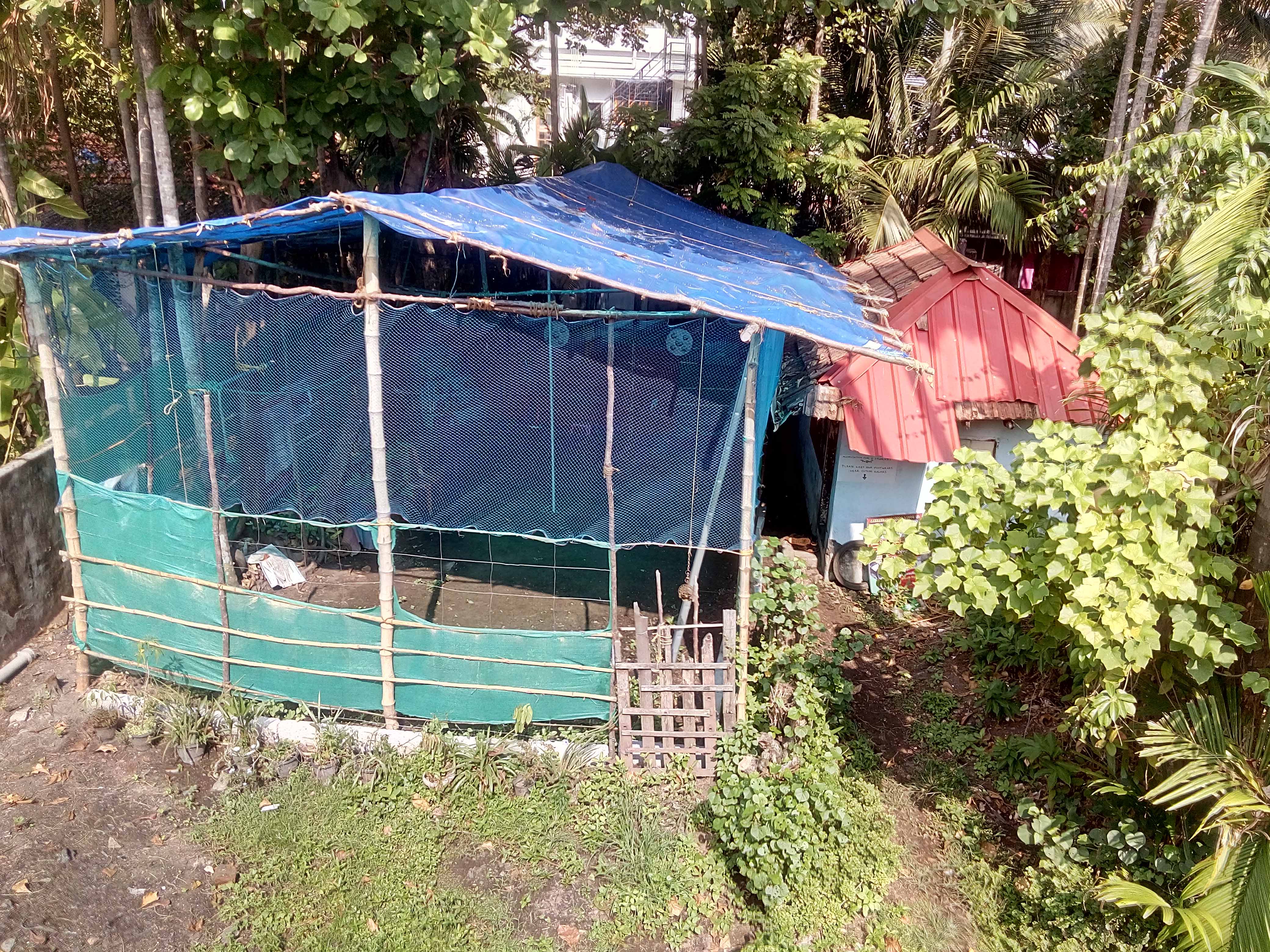 Kalaripayattu :Mathew Gurukkal - Bali Kalari, East of Iron-bridge ...